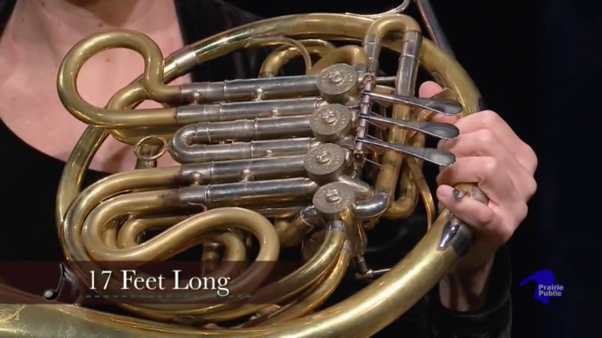 French Horn | Musical Concepts | PBS LearningMedia