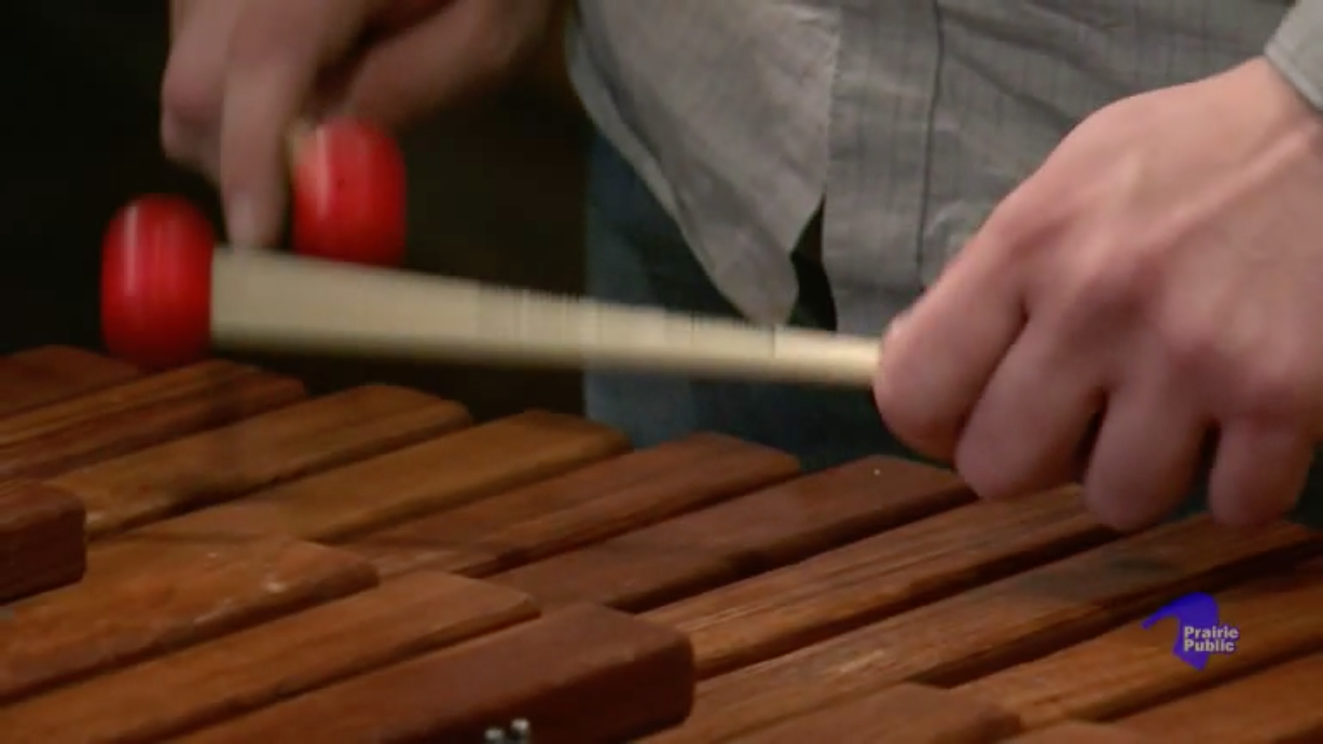 Mallet Percussion | Musical Concepts | PBS LearningMedia