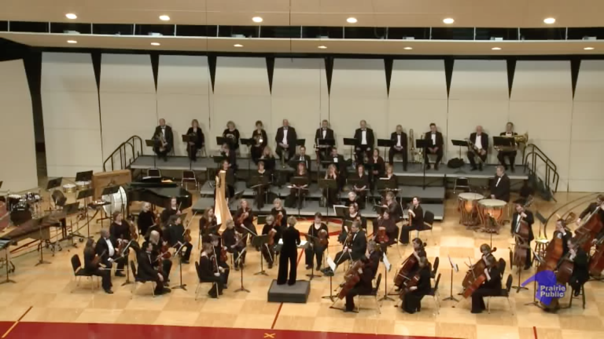 FM Symphony Orchestra Young People's Concert: Symphony No. 9 | PBS ...