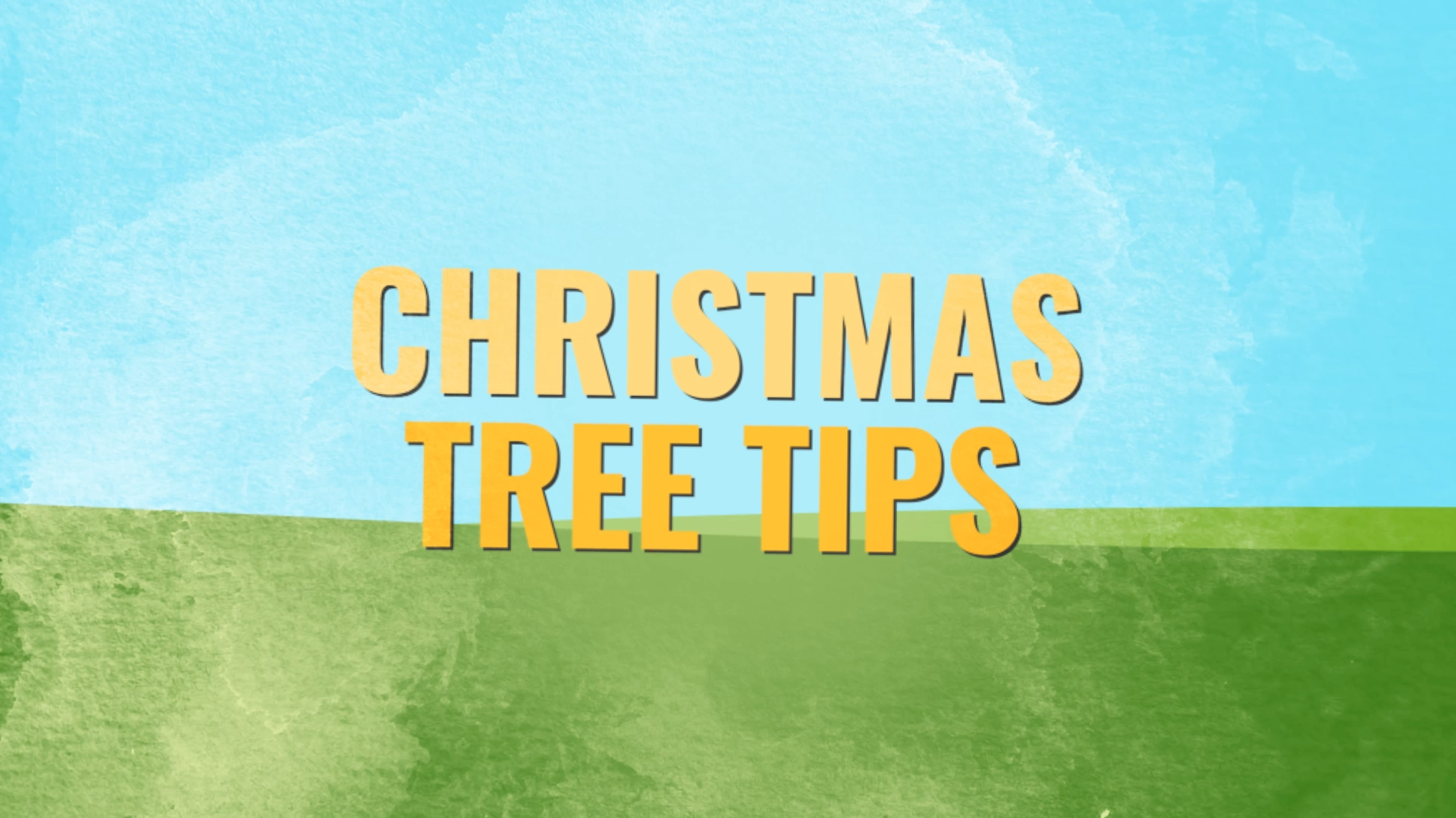 Picking and Caring for a Christmas Tree | Year-Round Gardening | Grades ...