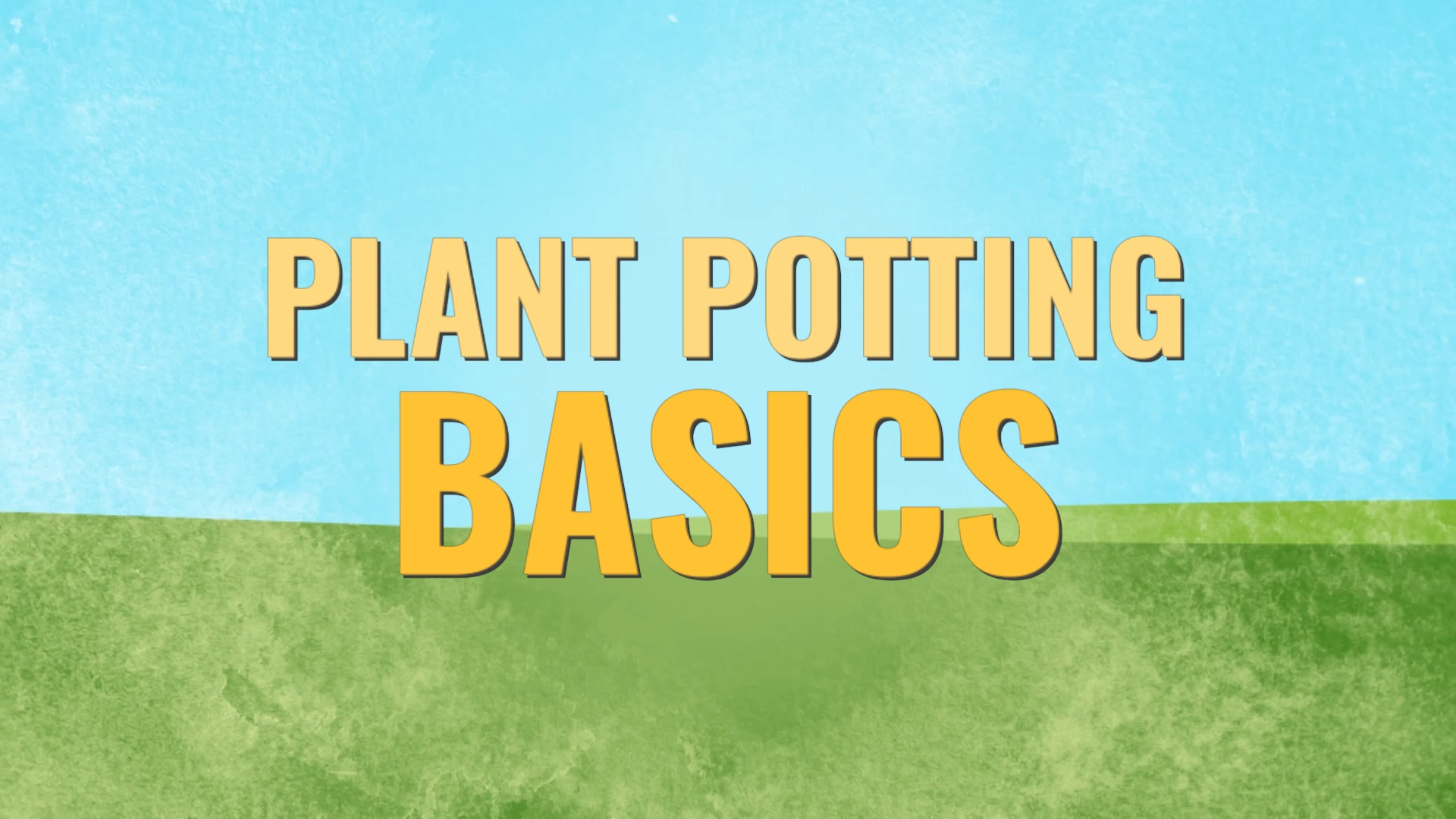 Plant Potting Basics | Year-Round Gardening | PBS LearningMedia
