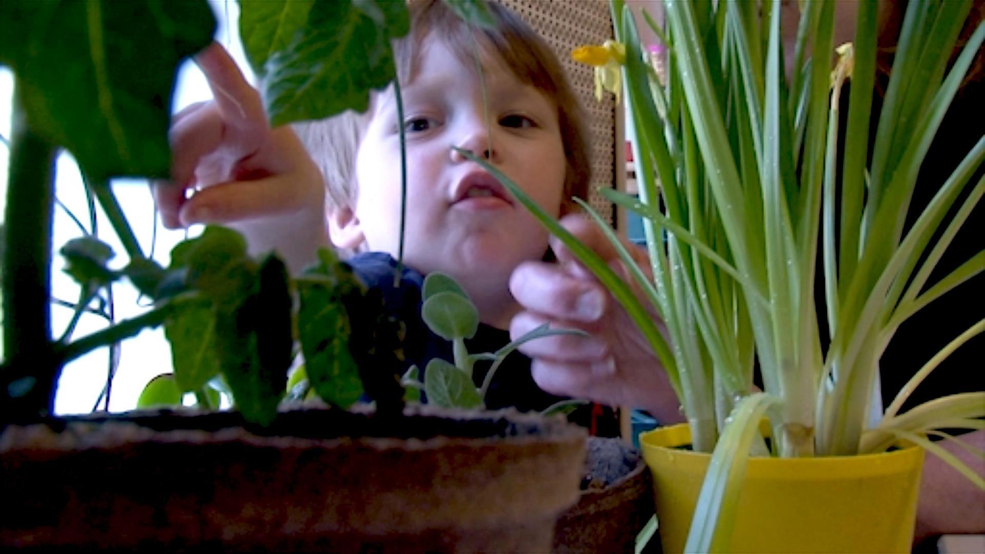 Plants: Learning Environments | PBS LearningMedia