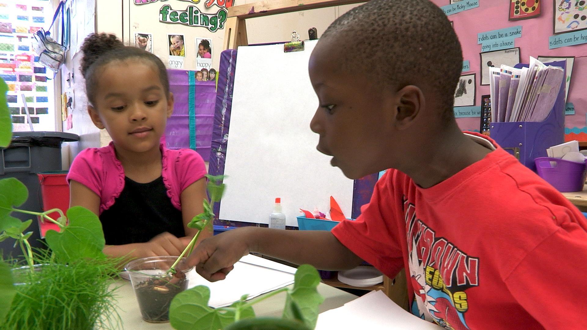 Plants: Science Talk | PBS LearningMedia