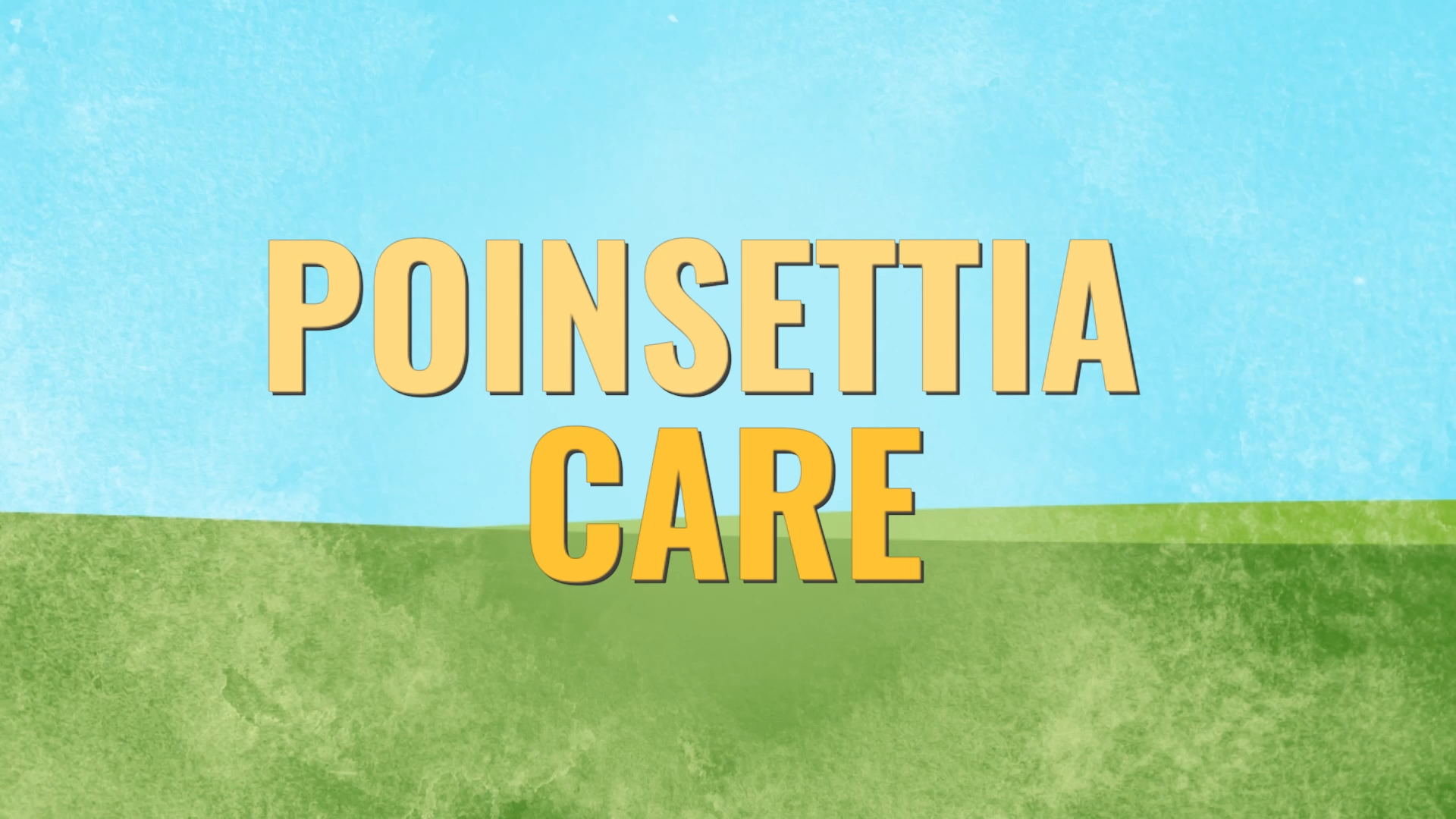 Poinsettia Care | Year-Round Gardening | PBS LearningMedia