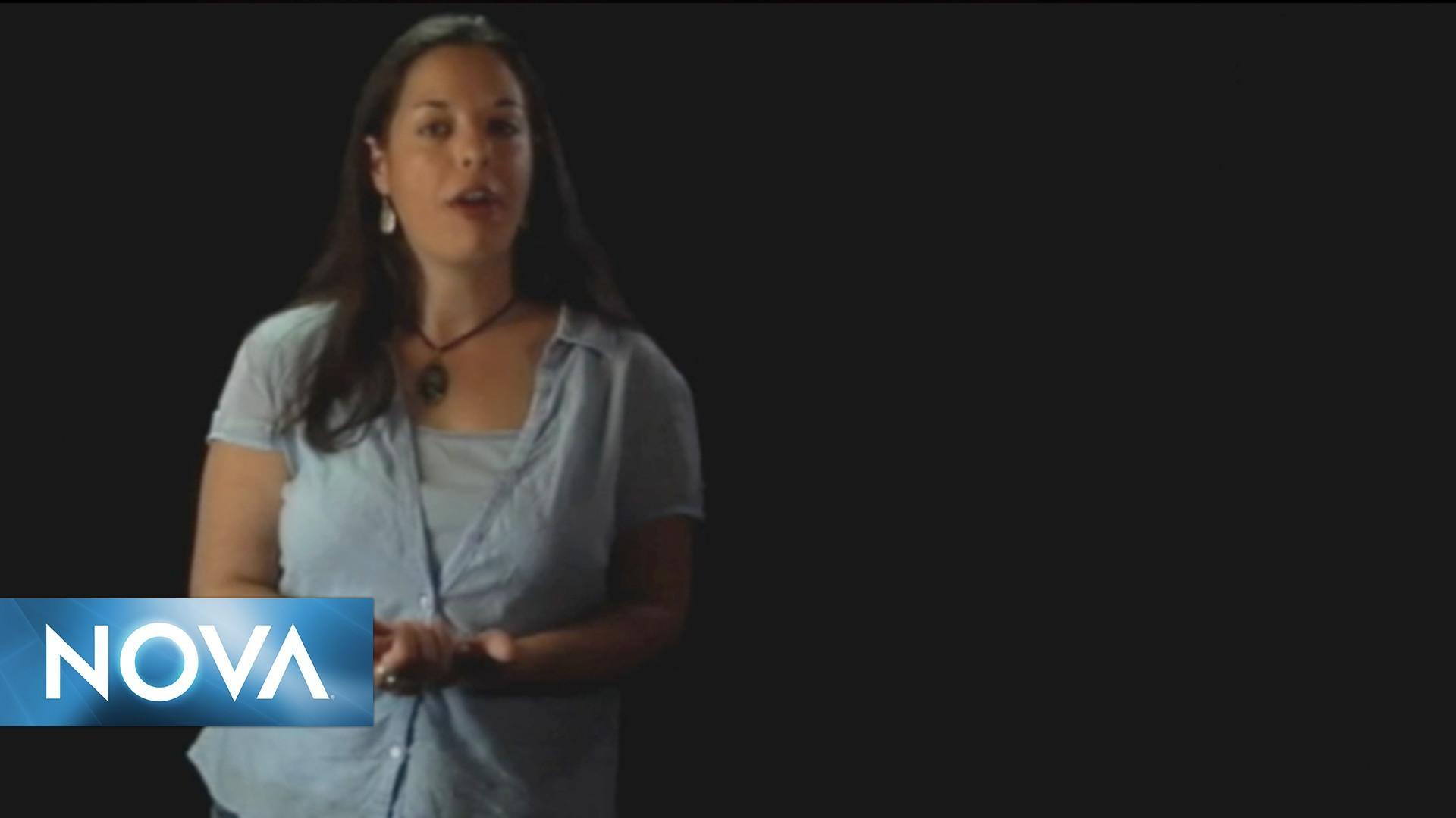 The Secret Life of Scientists & Engineers | Alexandrea Bowman | The ...