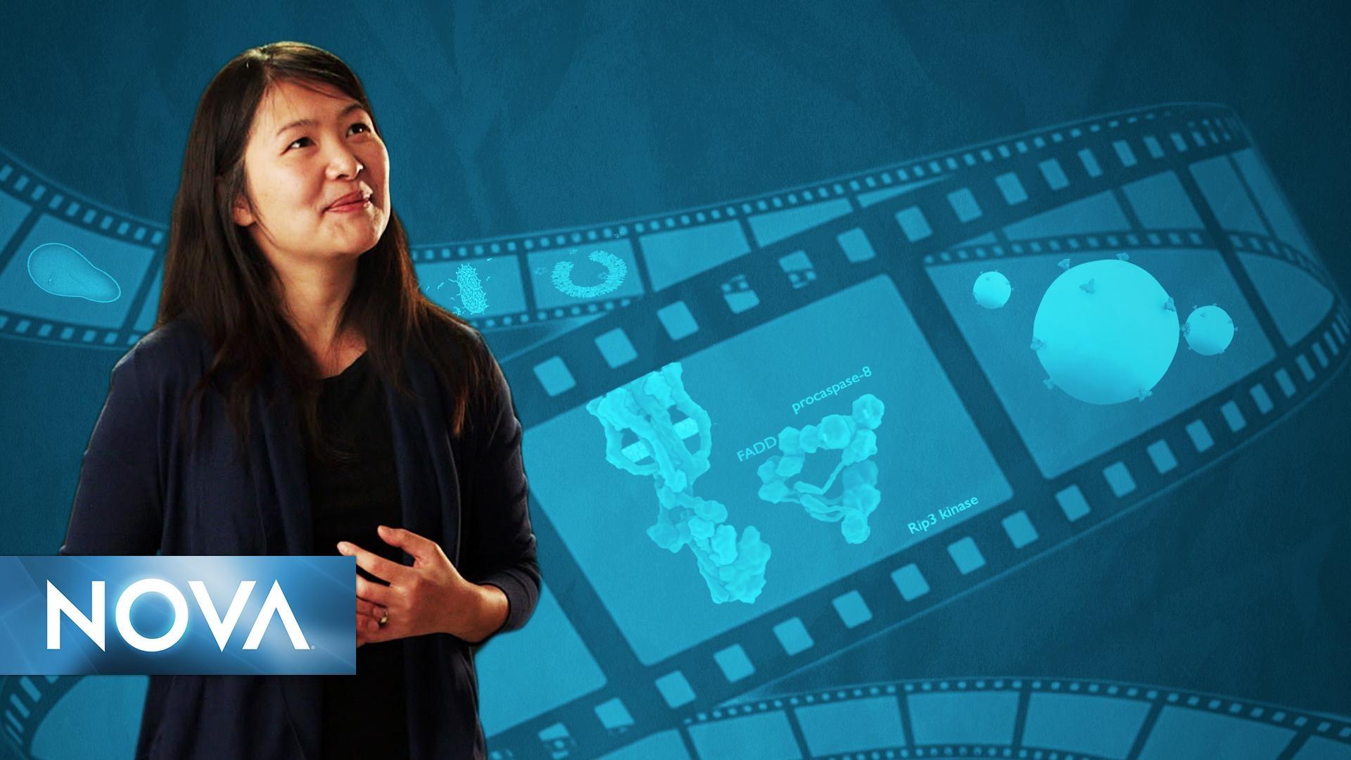 The Secret Life of Scientists & Engineers | Janet Iwasa | The Secret ...