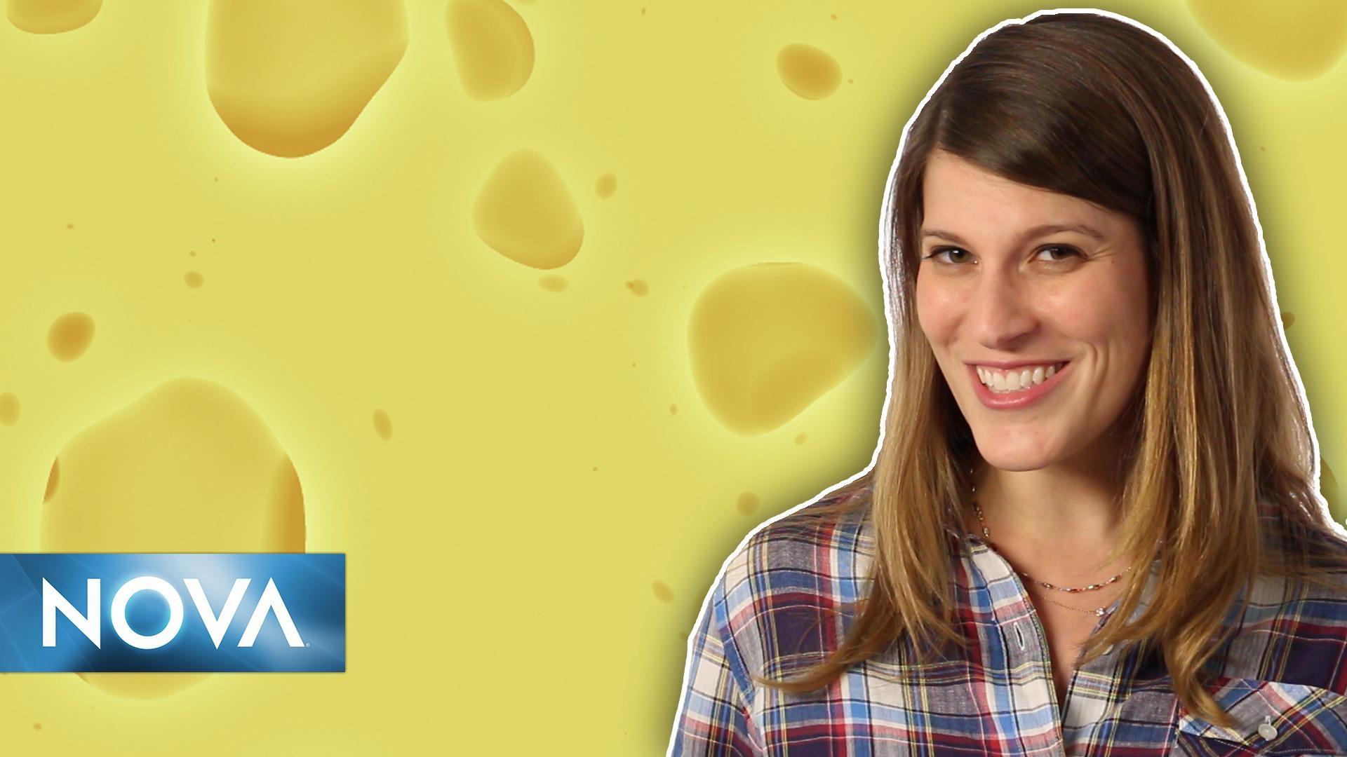 Gross Science | What Lives in Cheese? | Gross Science | PBS LearningMedia