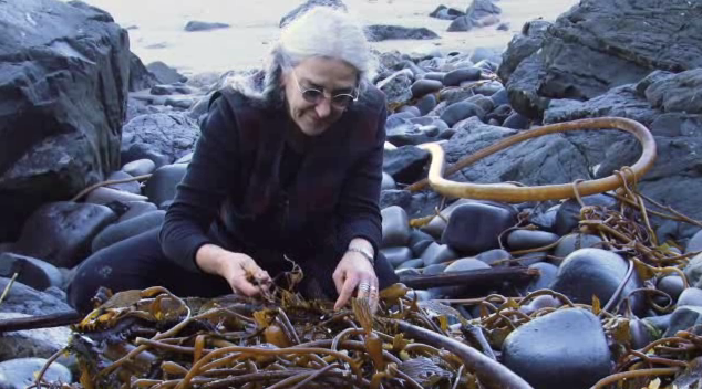 Preserving the Forest of the Sea | Grades 6-8, 9-12 English Language ...