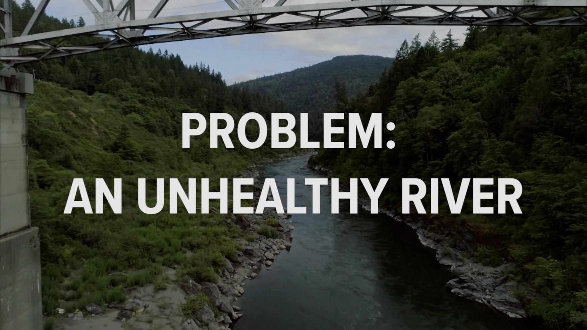 Problem: An Unhealthy River | Tending Nature | PBS LearningMedia