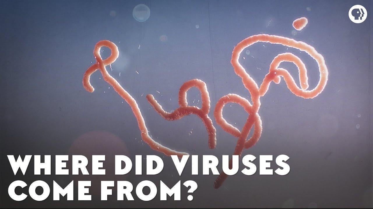 Where Did Viruses Come From? | Eons | PBS LearningMedia