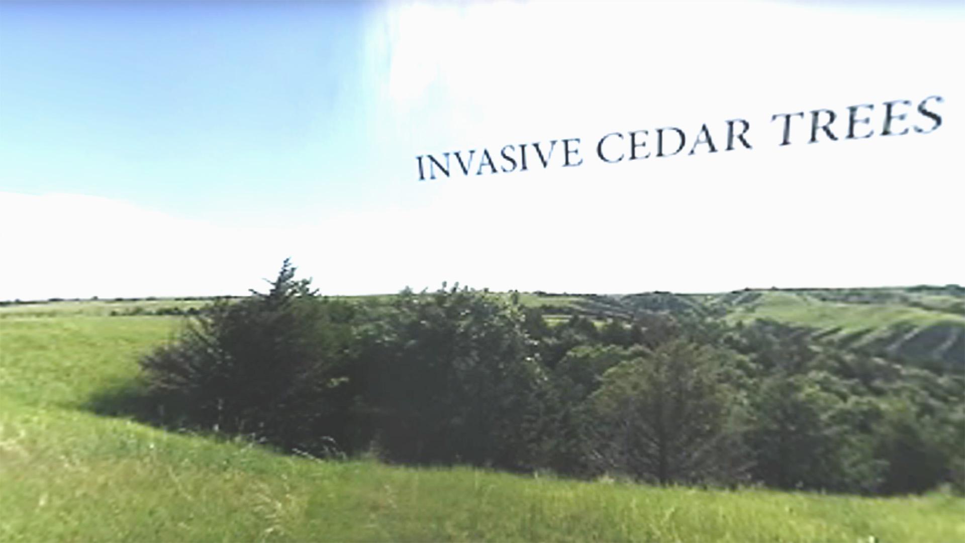 Rare Nebraska Featuring the Loess Canyons | NET 360° | PBS LearningMedia