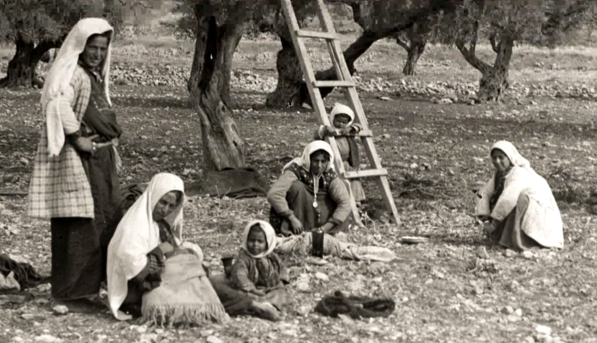 Revolution Comes to Palestine | 1913: Seeds of Conflict | PBS LearningMedia