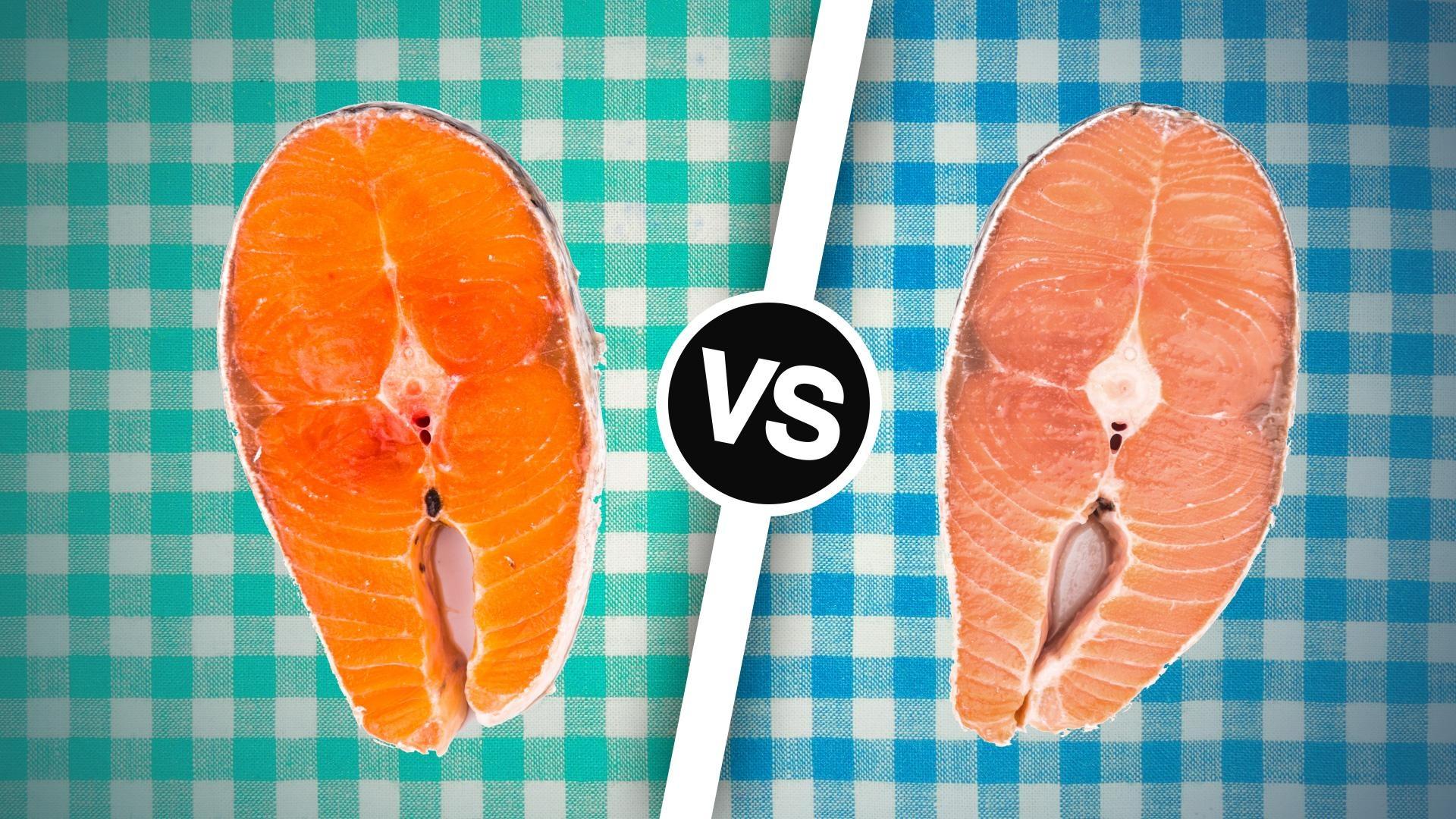 Wild Salmon or Farmed Salmon? Which Is Better? | Serving Up Science ...