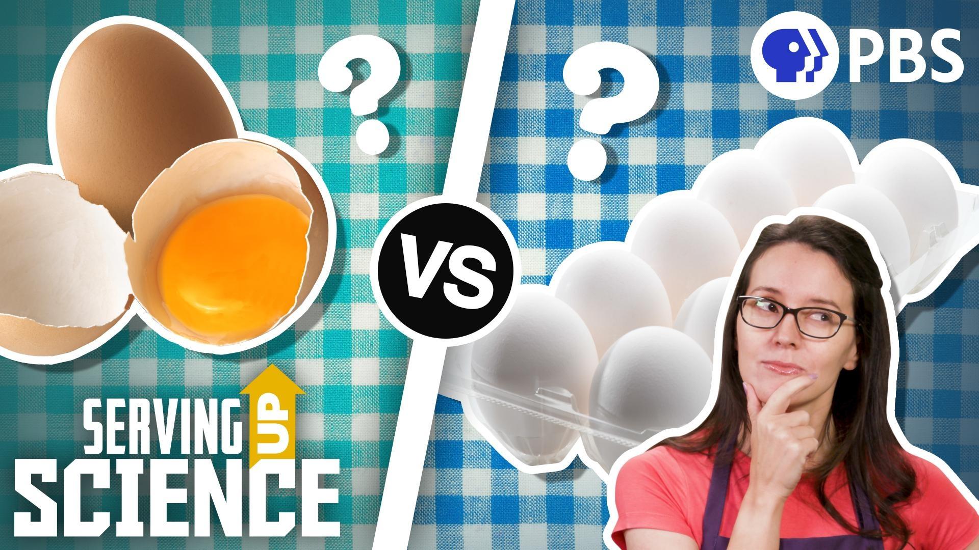 Does It Really Matter What Eggs You Buy? | Serving Up Science | Grades ...