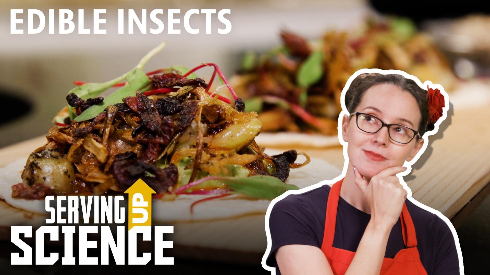 Dare to Taste Bugs? | Serving Up Science | PBS LearningMedia