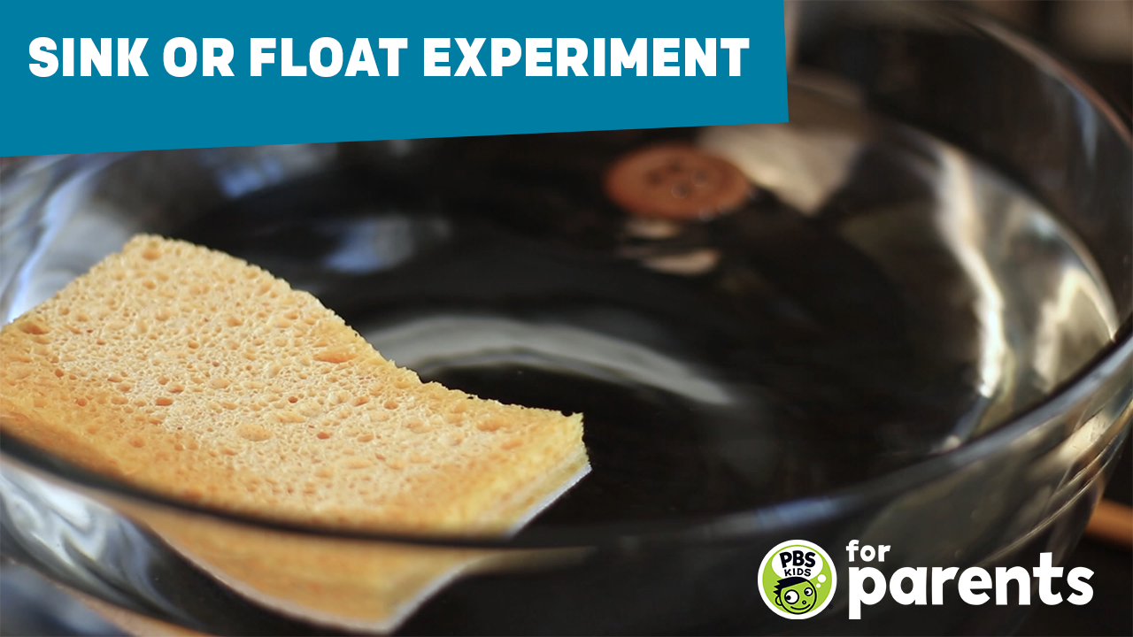 Science Crafts for Kids: Sink or Float Experiment | The Cat in the Hat ...
