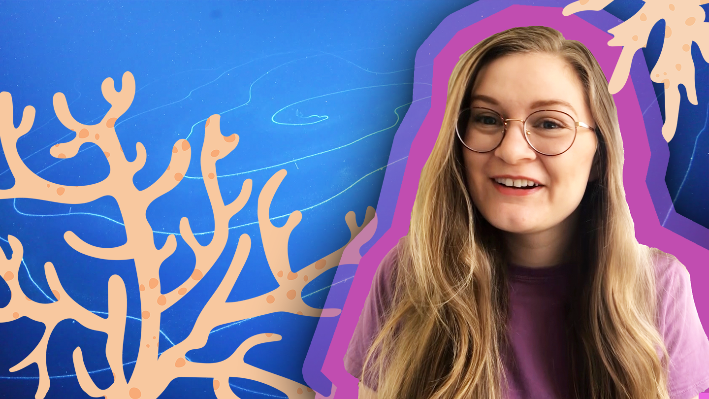 2020 Aquatic Update | Spot on Science | Grades 3-5, 6-8 Science ...