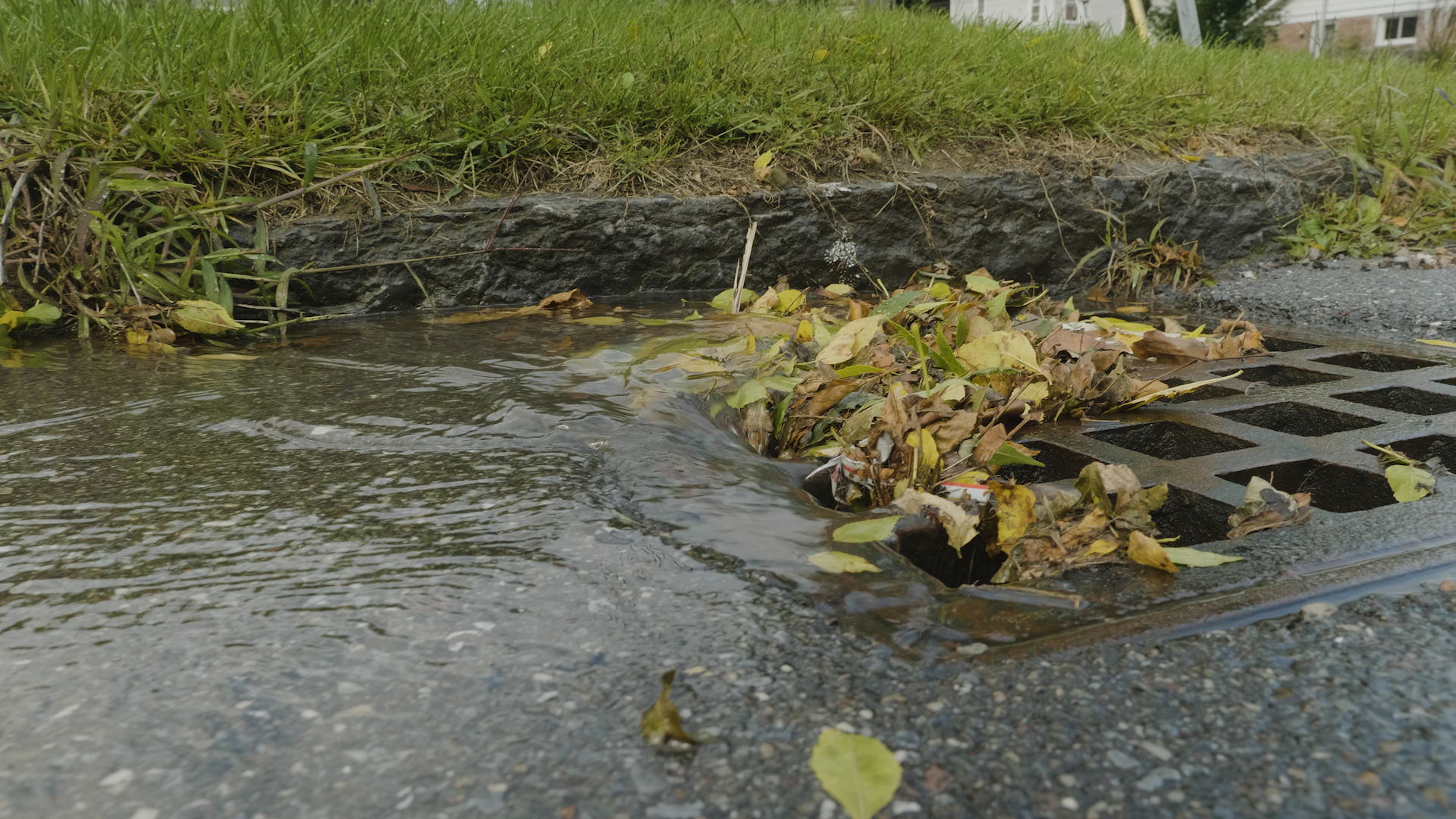Watershed Games Part II (High School) | Saving our Waters | Grades 9-12 ...