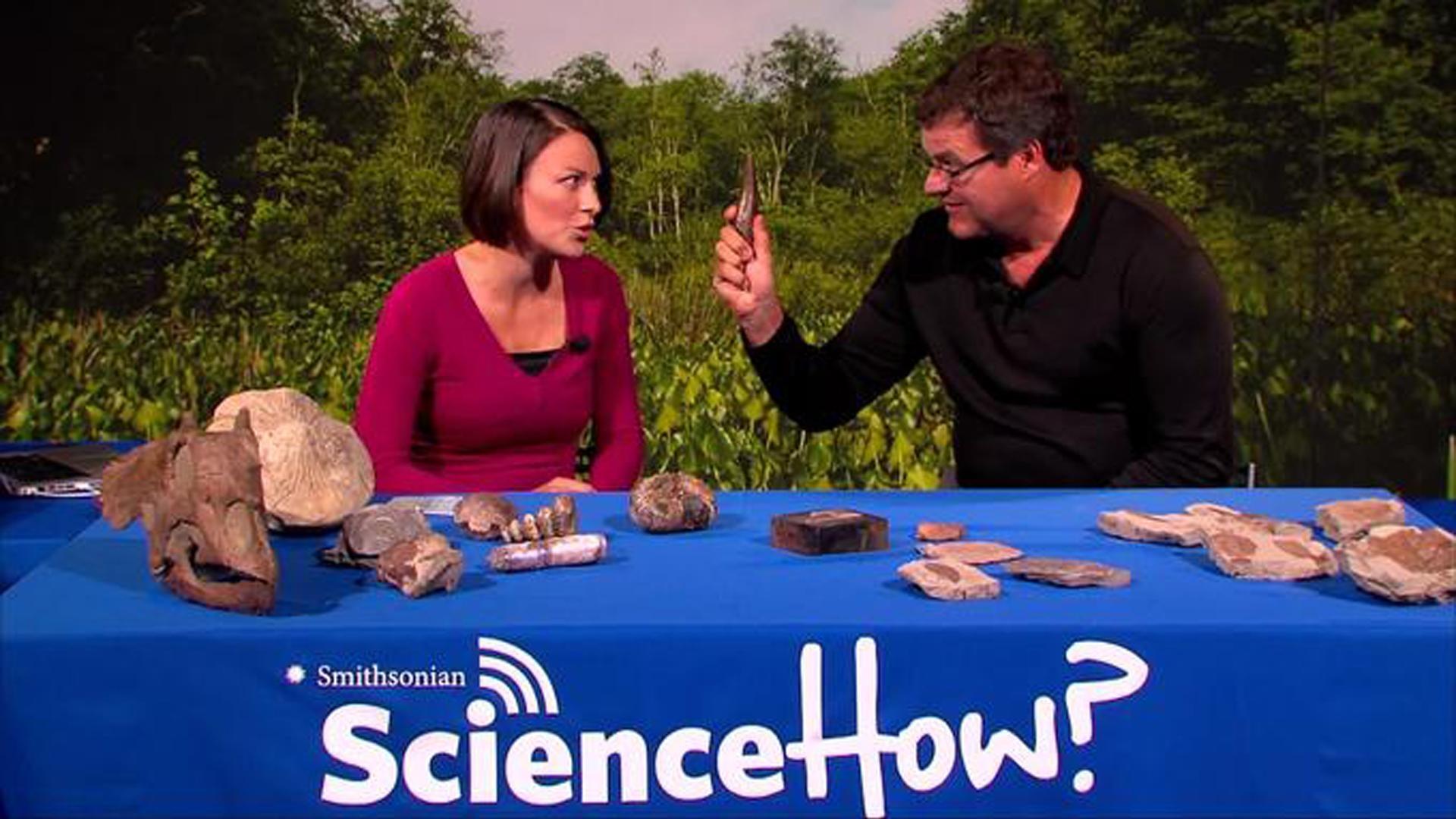 Mass Extinction: Solving the Dinosaur Mystery | Smithsonian Science How ...