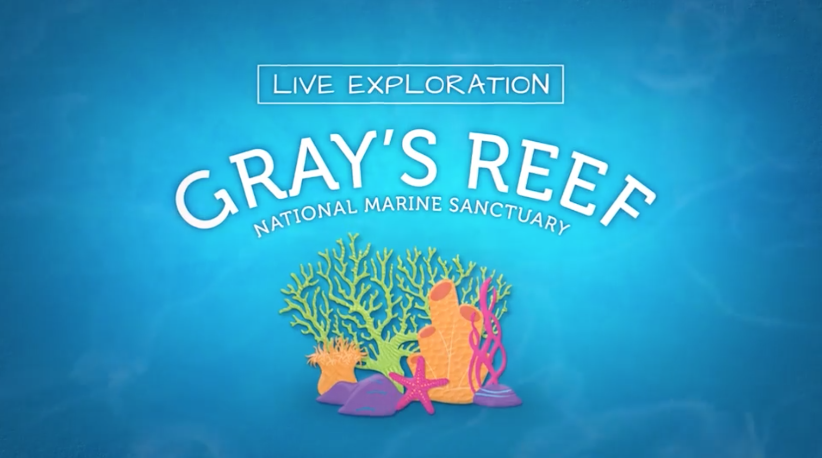 Gray's Reef National Marine Sanctuary | Live Exploration | PBS ...