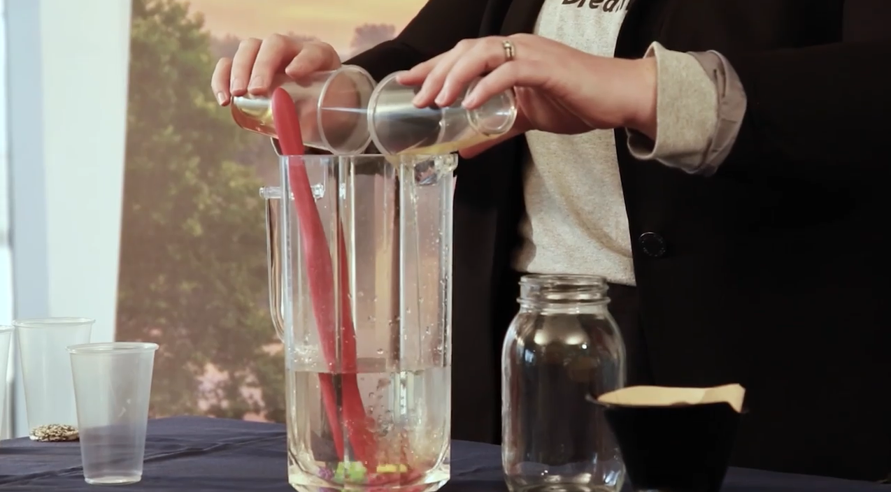 All About Water Camp Gpb Pbs Learningmedia