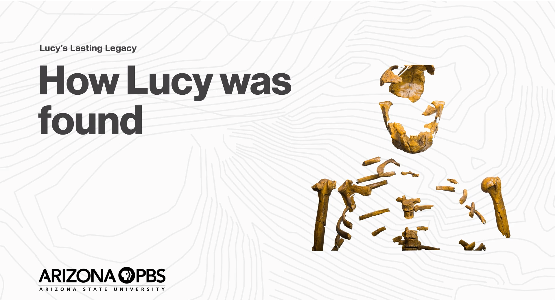 Finding Lucy | Lucy 50: A Year for Human Origins | Grades 6-8, 9-12 ...