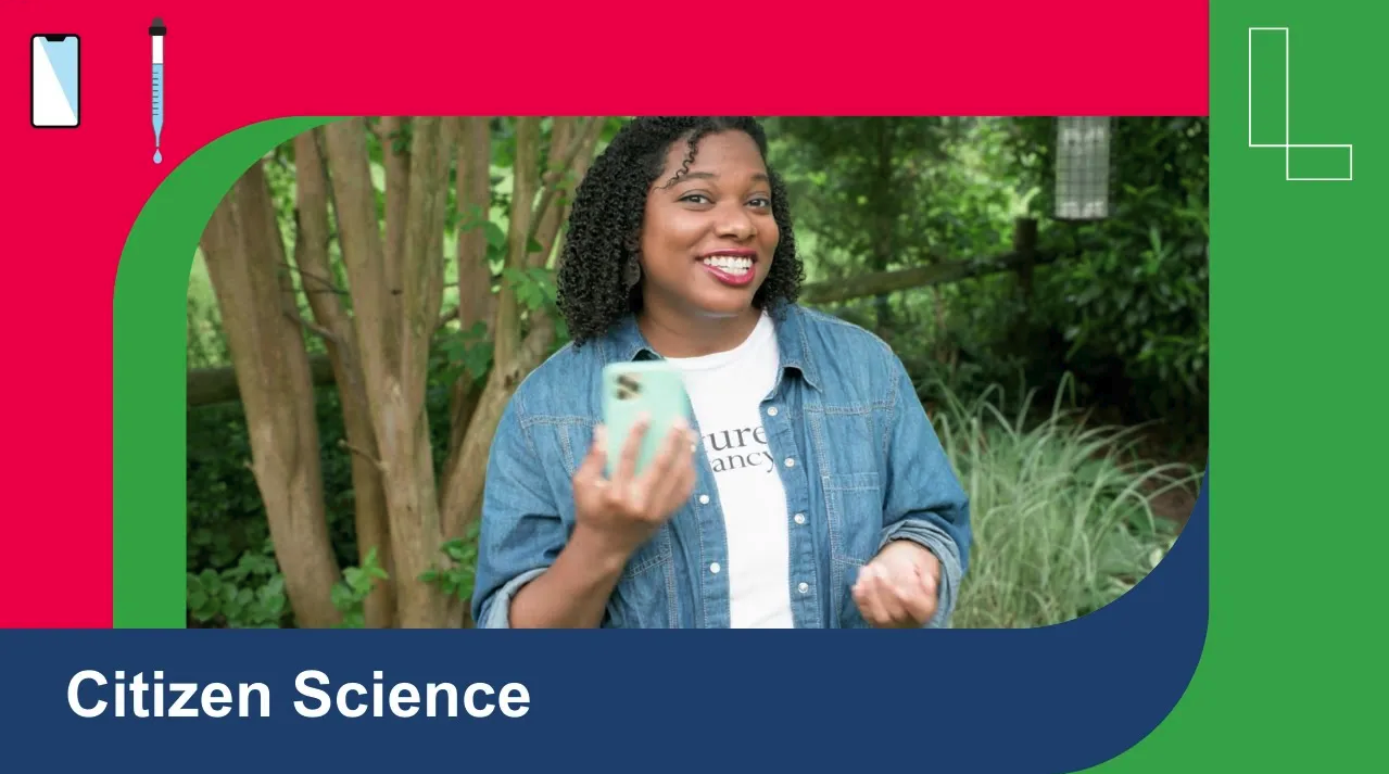 You’re the Scientist! Citizen Science, Frogs, and Cicadas | Nature Lab ...