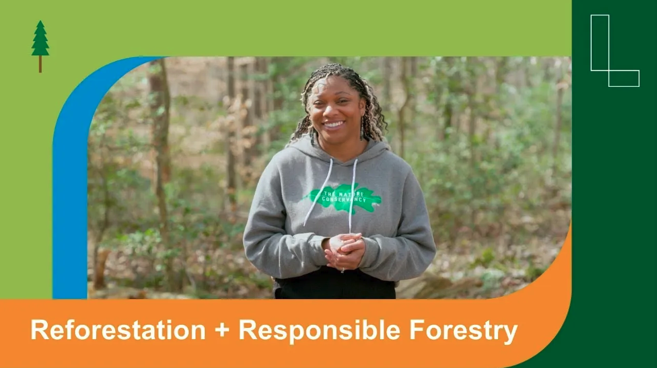 Working Trees: Reforestation and Responsible Forestry | Nature Lab ...