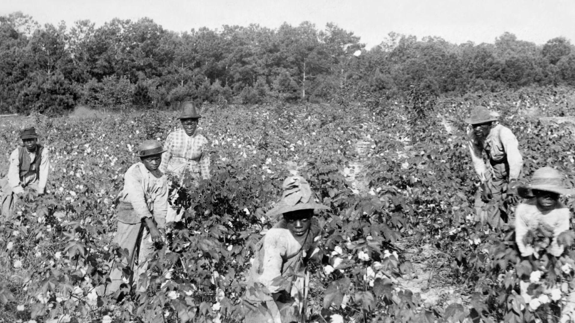 The Roots of Spirituals: How Enslaved People Used Music to Endure and ...