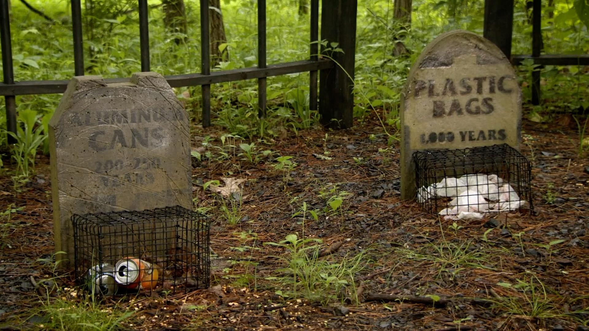 The Garbage Graveyard | Shaver's Creek Virtual Field Trip | PBS ...