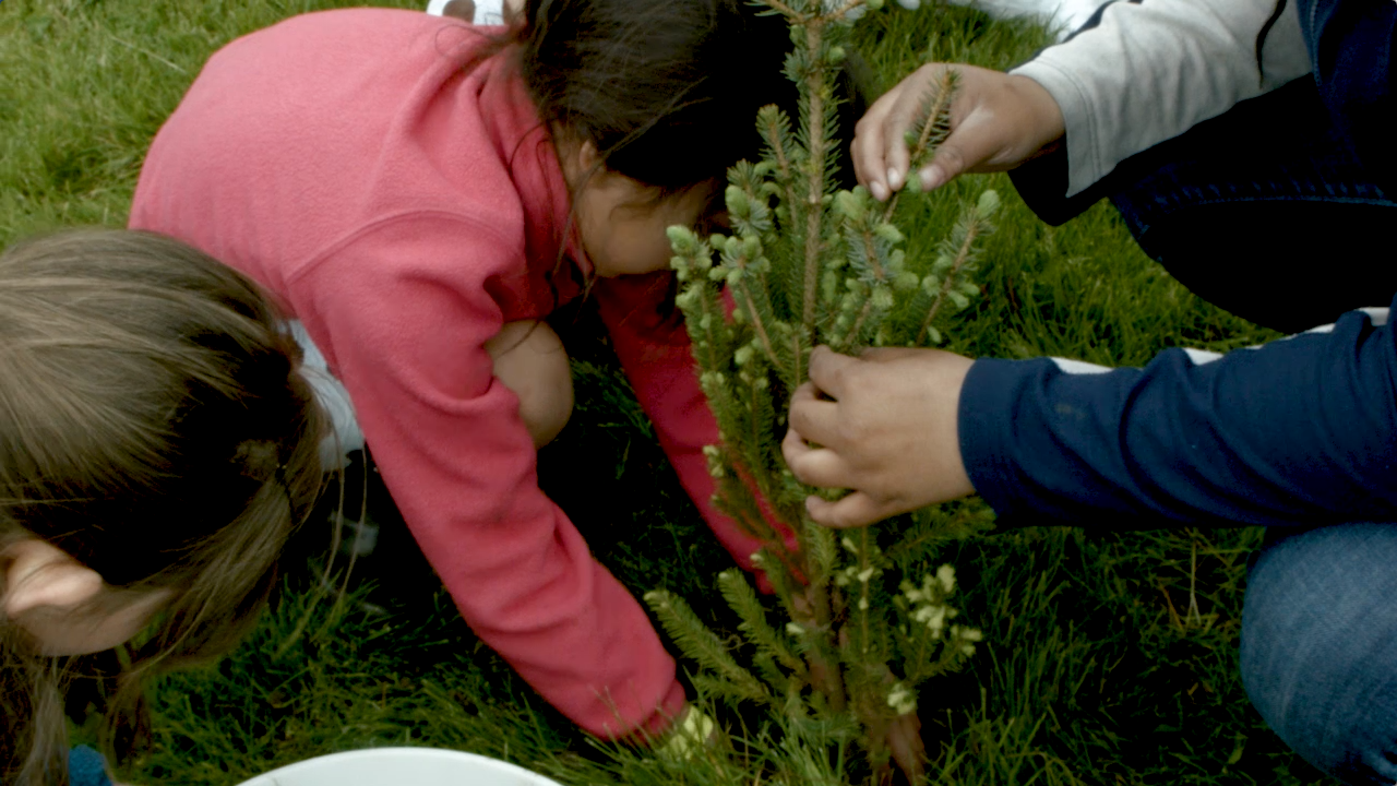 Planting the Seeds of Place-Based Education for Future Generations ...