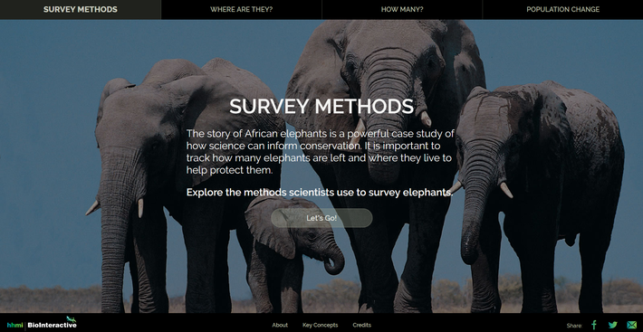 Selection for Tuskless Elephants | Science | Video | PBS LearningMedia