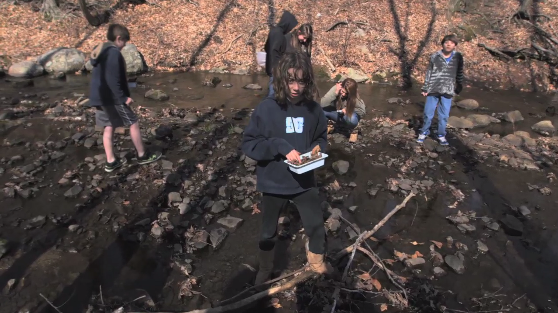 Swimming Upstream | PBS LearningMedia