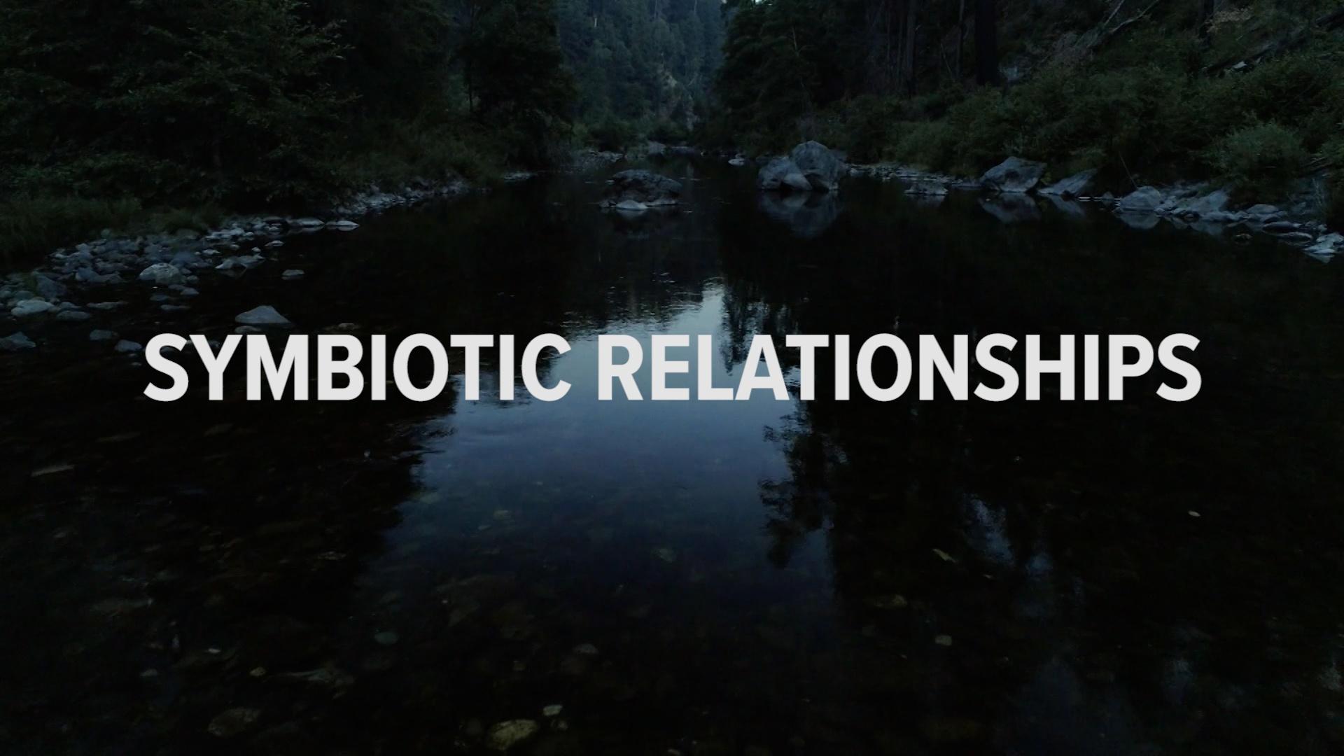Symbiotic Relationships | Tending Nature | PBS LearningMedia