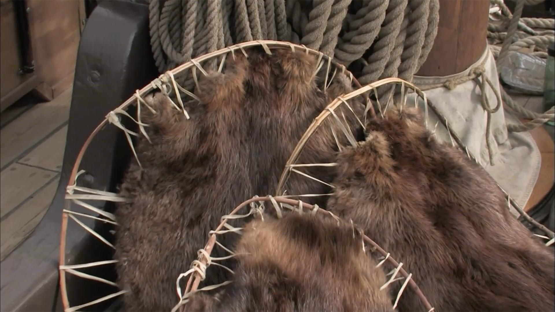 The Beaver Trade & The Purchase of Manhattan | Dutch New York | PBS ...