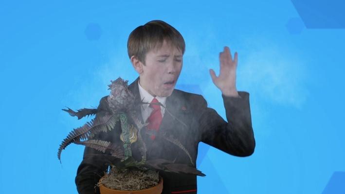 Shape Crystals | Odd Squad | Mathematics, Preschool | Video | PBS ...