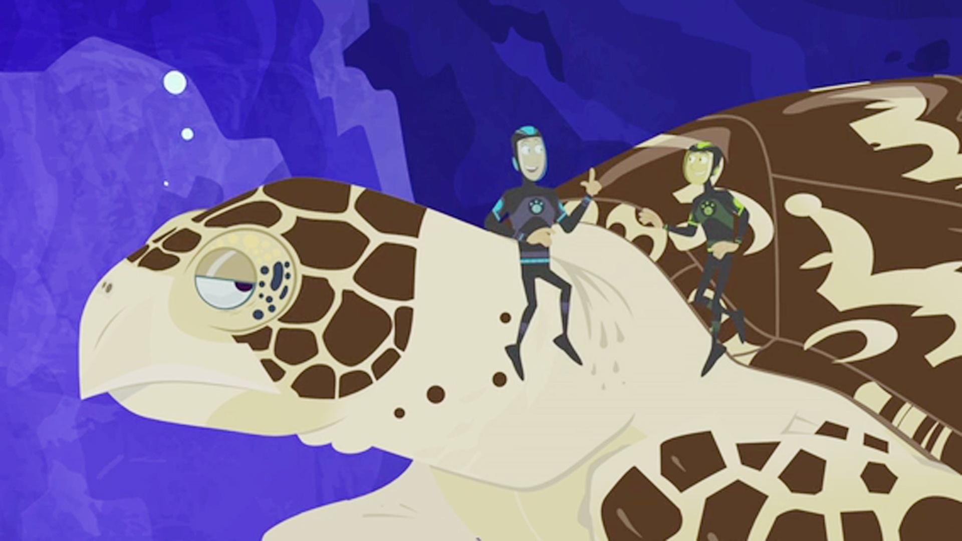 Turtle-Backed Tour of the Reef | Wild Kratts | PBS LearningMedia