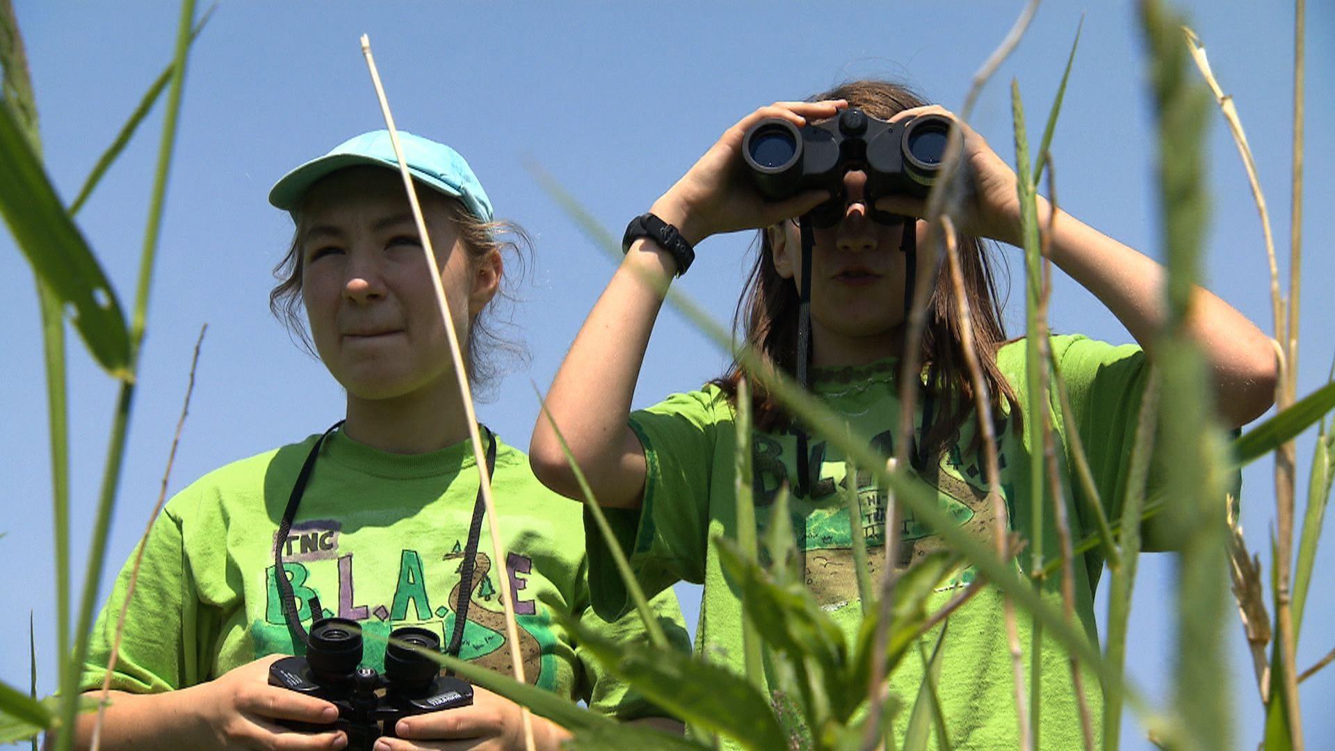 Identify the Problem | SciGirls: Turtle Mania | PBS LearningMedia