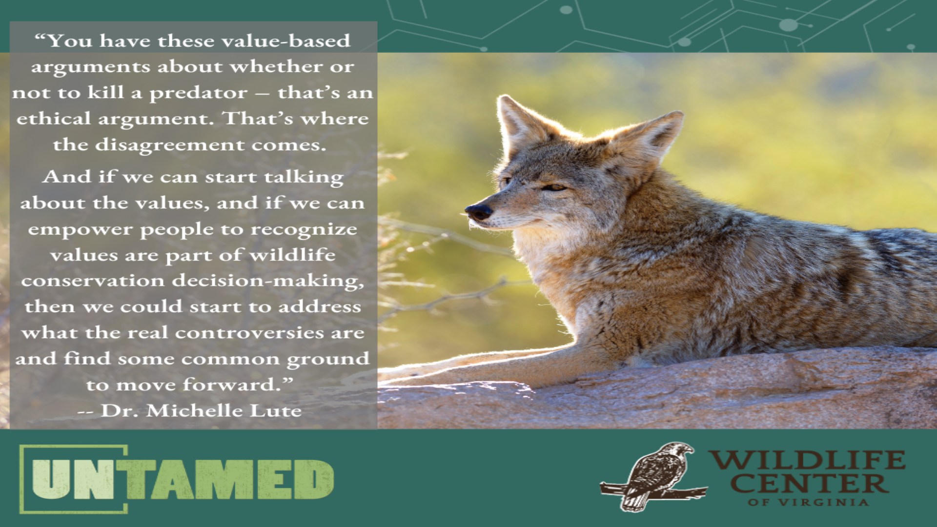 The Vital Role of Predators | UNTAMED | PBS LearningMedia