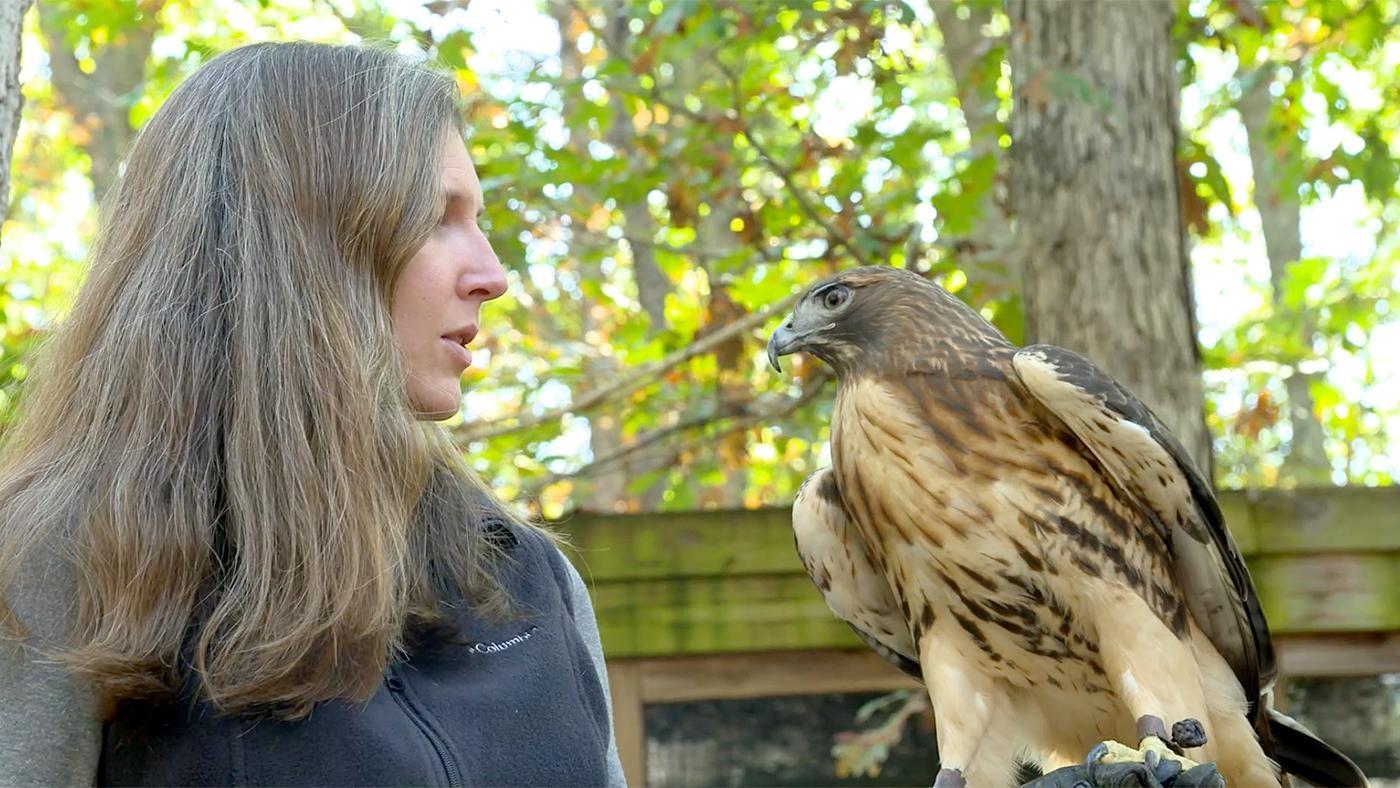 Animal Ambassadors | UNTAMED | PBS LearningMedia