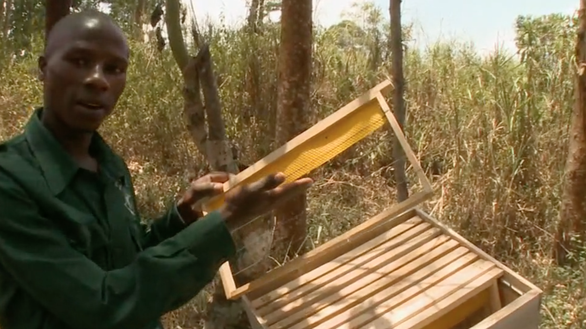 Uganda: Sustainable Tourism | Beekeeping and Tree Plantation Project ...