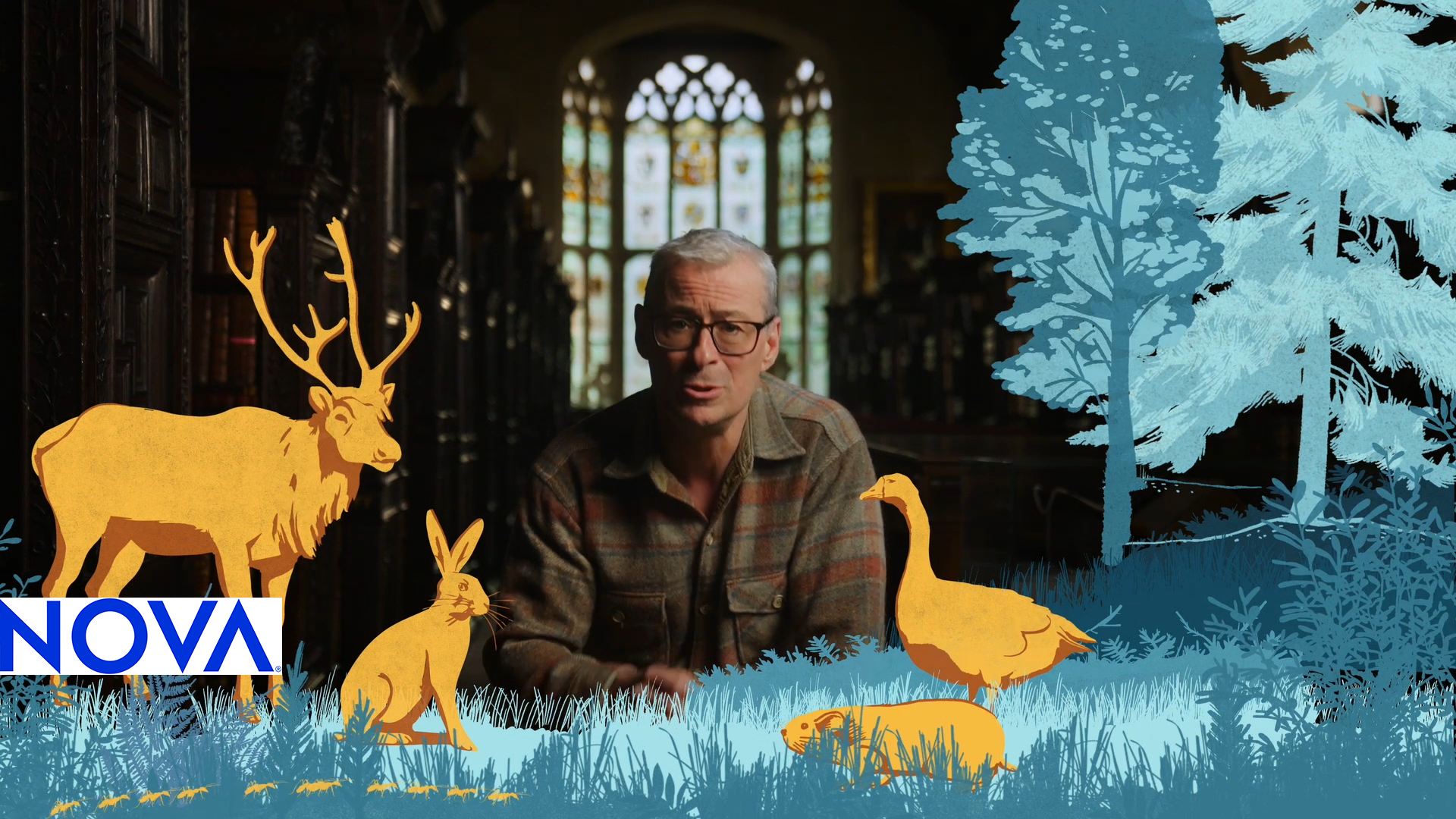 Ancient DNA Helps Piece Together the History of Life on Earth | NOVA ...