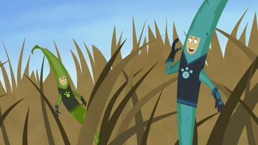 Up the Food Chain | Wild Kratts | PBS LearningMedia