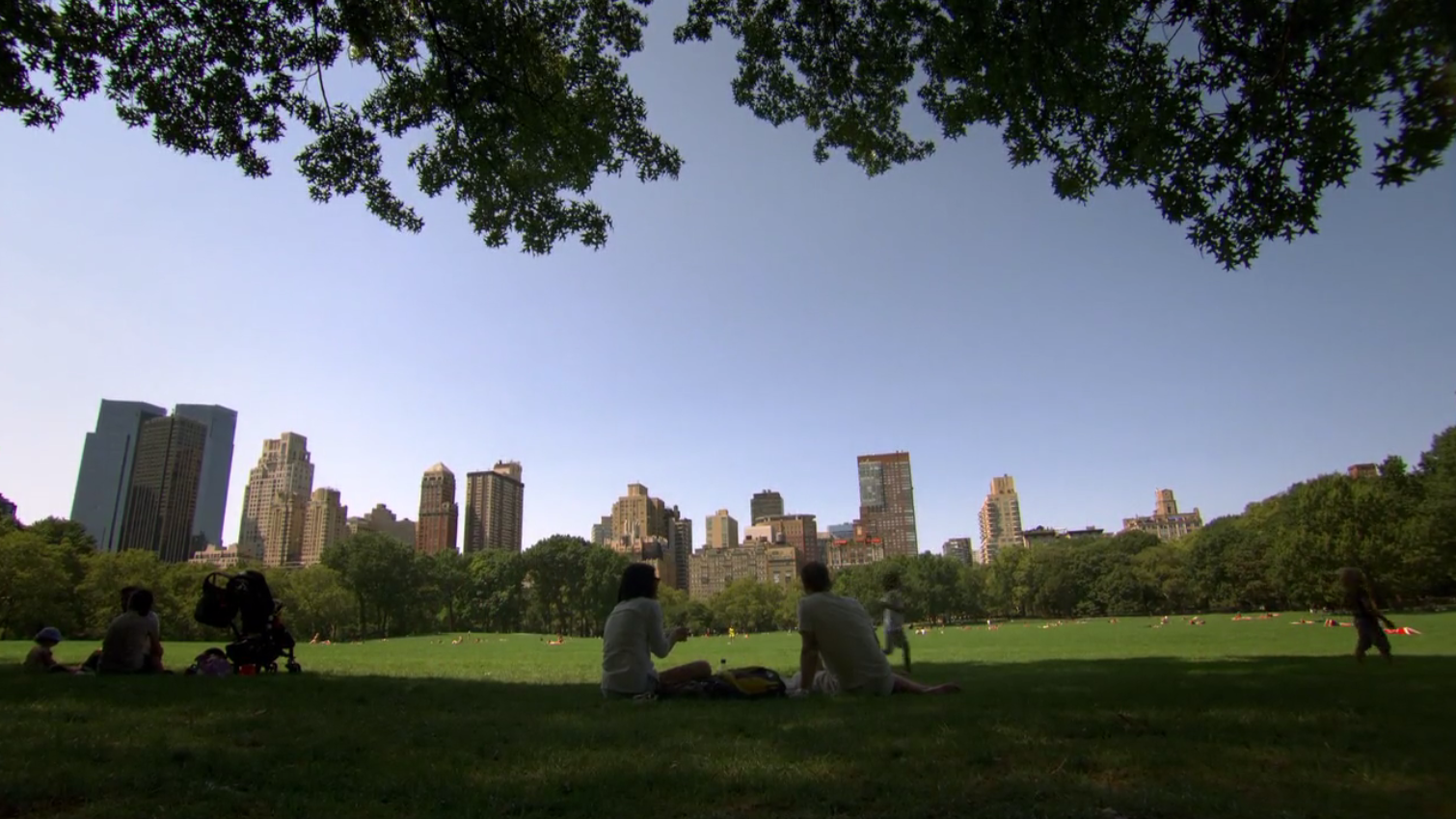 Urban Trees: Lesson Plan | Nature Works Everywhere | PBS LearningMedia