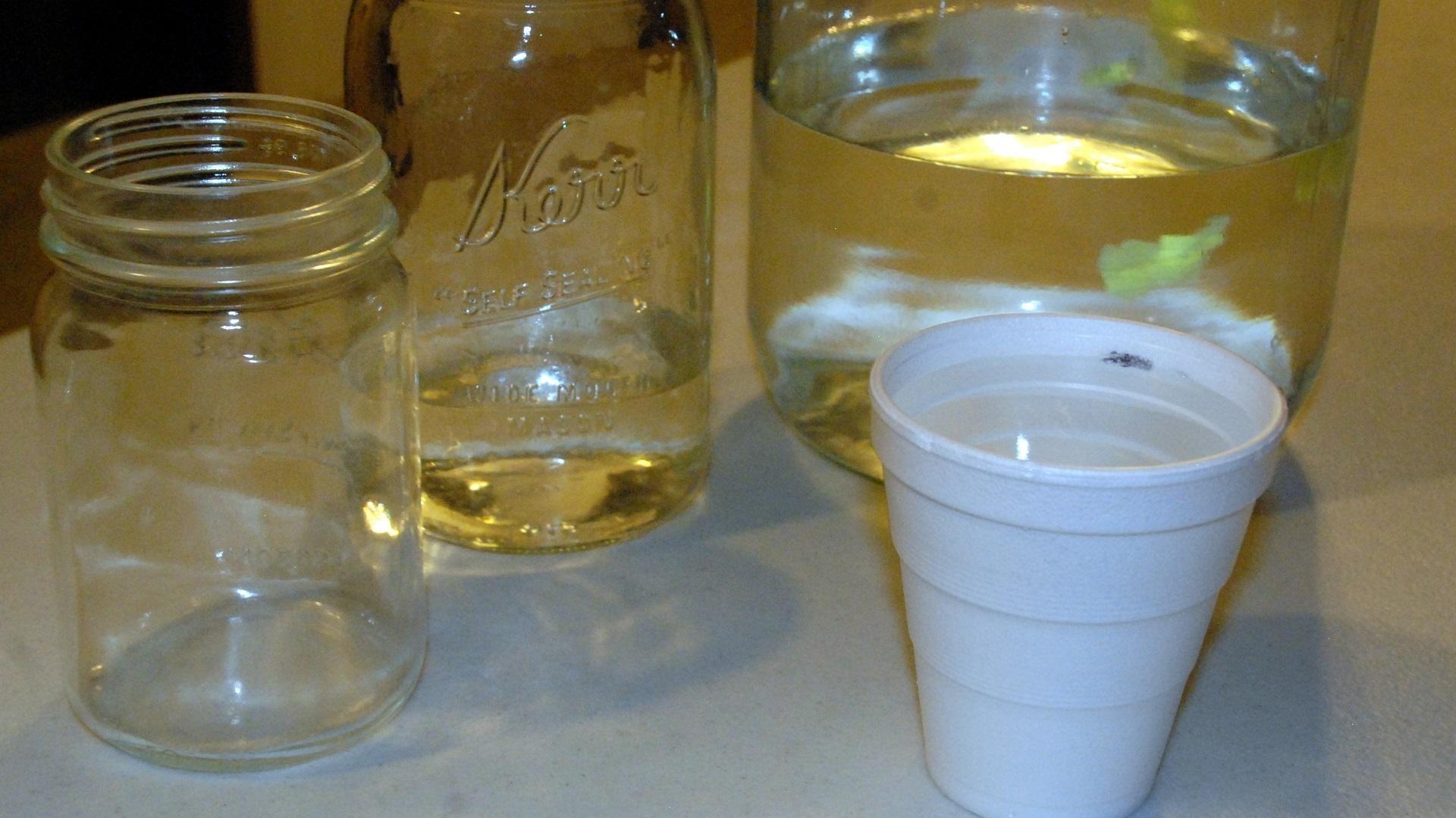 Images of the Past | Capacity (volume): Gallon, Quart and More | PBS ...