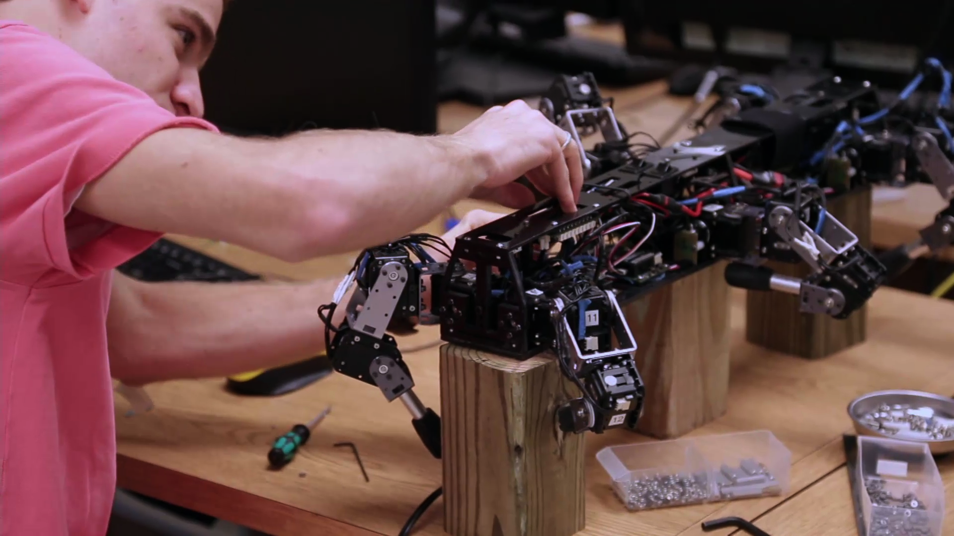 Biomorphic Robots | PBS LearningMedia