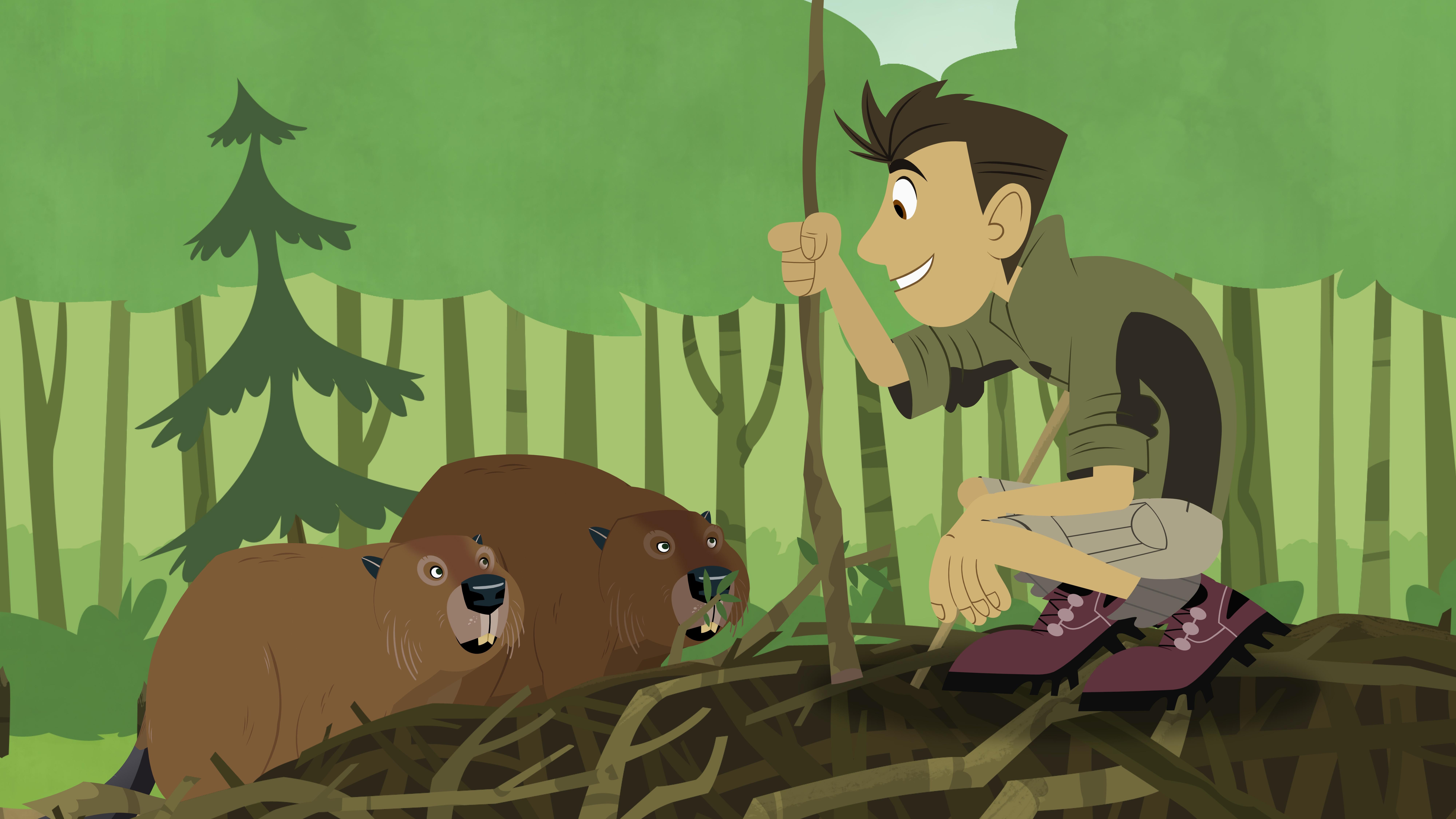 Beavers: Building a Dam | Wild Kratts | PBS LearningMedia