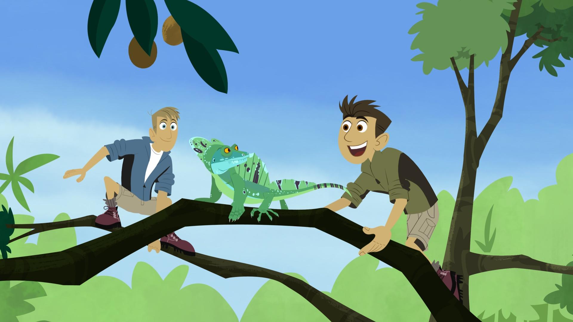 All About Lizards Lesson Plan | Wild Kratts | PBS LearningMedia