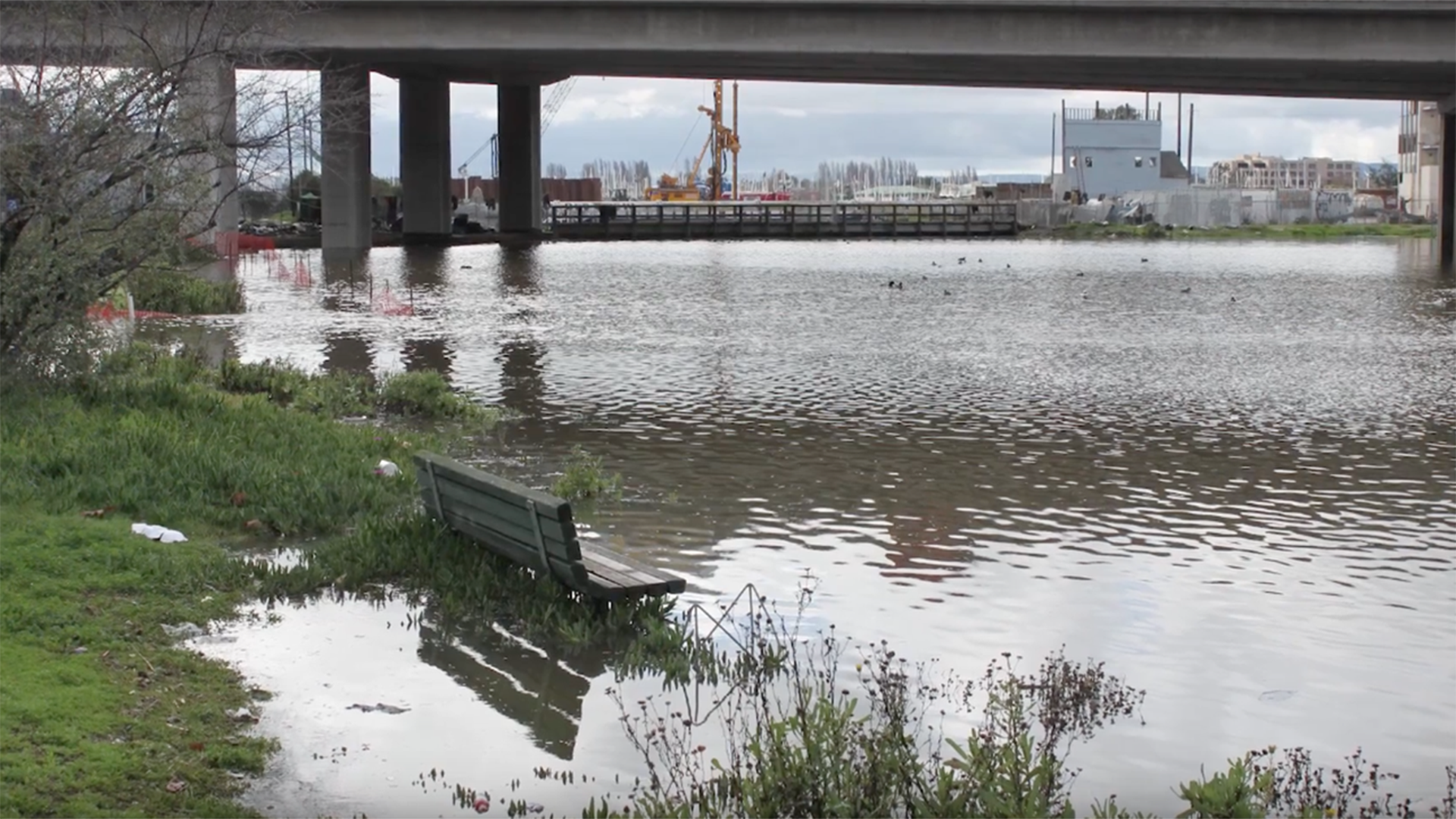 The Climate is Changing but How's the Weather? | Exploring Energy | PBS ...