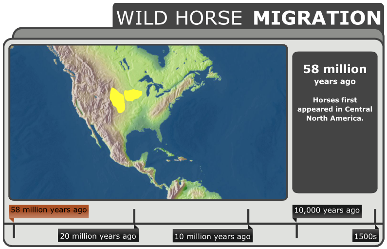1500-1799 Era | Lesson 2: First Contact - Expanding Trade | PBS ...